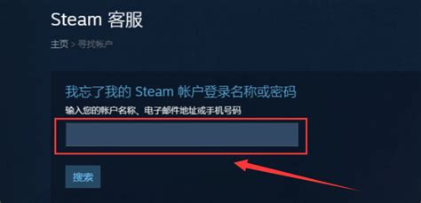 Steam