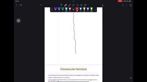 Intravascular And Extravascular Hemolysis Youtube