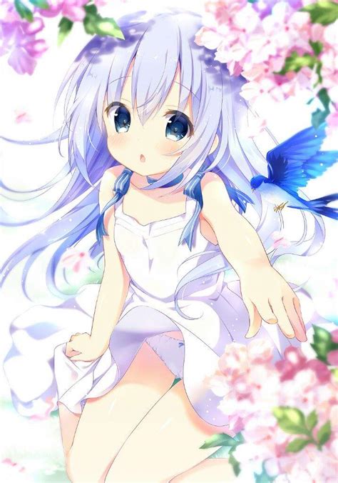 Chino Kafuu Wiki Anime Amino