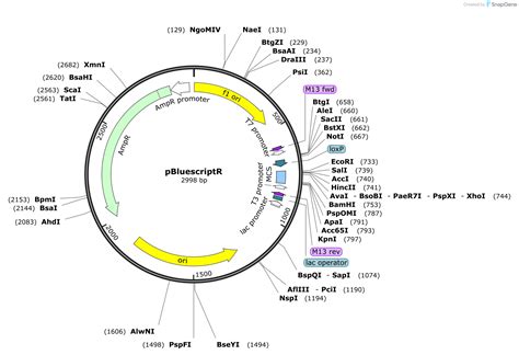 Pbluescriptr Sequence And Map