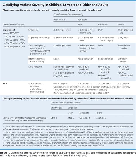 Asthma Classification Pdf Asthma Classification Pdf