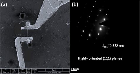 A Sem Image Of Photodetector S2 Showing The Nanowire With Diameter
