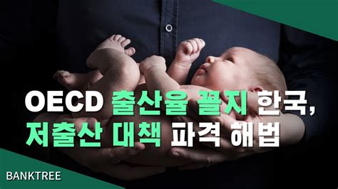 오늘의 이슈 소멸 위기의 대한민국심각한 저출산·고령화 문제 Youtube