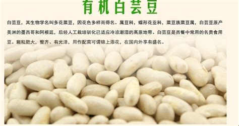 白芸豆的功效与作用360新知