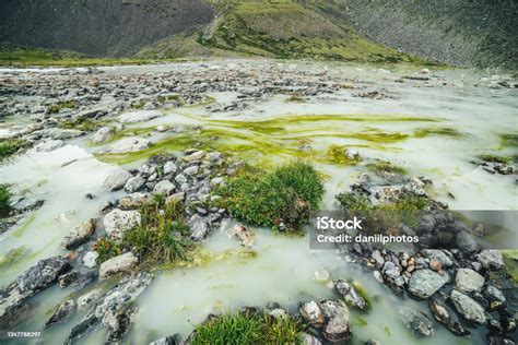 물에 잠긴 산악 호수의 돌 들 사이에 녹색 잔디와 아름다운 꽃이있는 생생한 고산 풍경 고원의 야생 식물과 밝은 산 풍경 산호수 의 식물에 경치 0명에 대한 스톡 사진 및