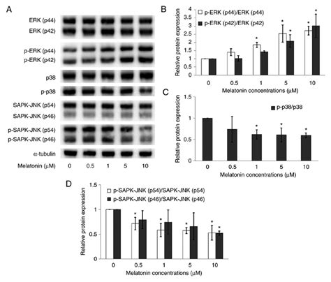 Protein Expressions Of The Mapk Pathway In Rt4 D6p2t Schwann Cells
