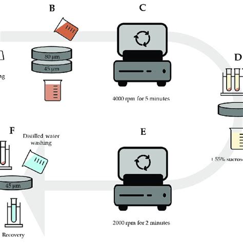 The Process Of Extracting Amf Spores Using The Ultrasound Wet Sieving