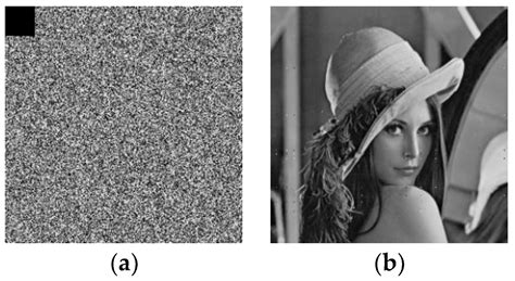 Image Encryption Scheme Based On Newly Designed Chaotic Map And Parallel Dna Coding