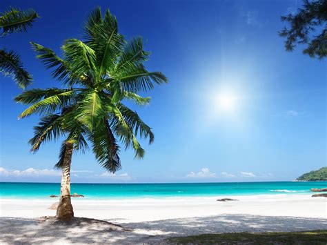 Sunny Beach Wallpapers Wallpaper Cave