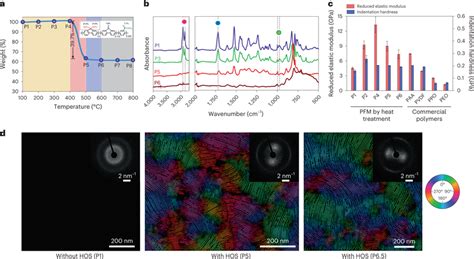 The Chemical And Morphological Evolution Of Multifunctional Conductive