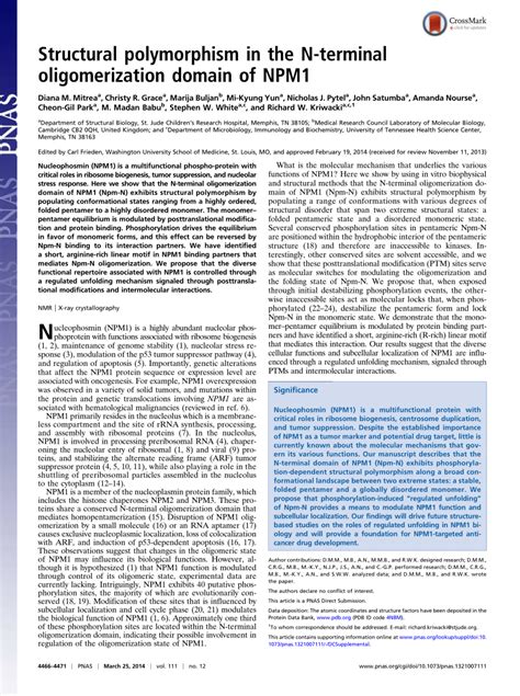 Pdf Structural Polymorphism In The N Terminal Oligomerization Domain Of Npm1
