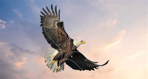 Over Ostyn En De Arend Ostyn