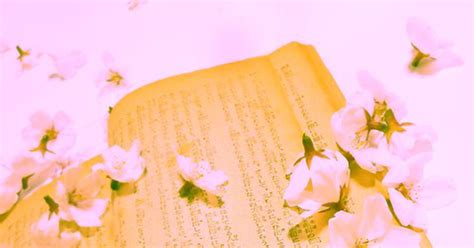 小説用フリー素材 【小説用背景】桜詰め合わせ5 のぎのマンガ 桜 フリー素材100users入り Pixiv