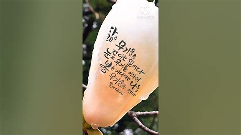 꽃은 자세히 보아야 예쁘다 사람은 오래 보아야 아름답다 세상에서 가장 아름다운 것은 성경 듣고 보고 깨닫고 행하여야 하나니