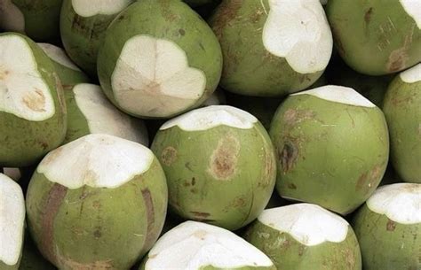 ⋆˚ ˖° Can You Use The Green Coconut Can You Freeze A Fresh Coconut