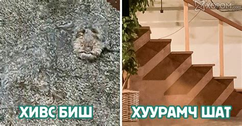 Таны тархиар наадаж нүдийг чинь хуурч дөнгөх 15 фото зураг Та