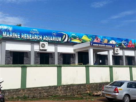 Best 5 Things In Sagarika Marine Research Aquarium Thiruvananthapuram