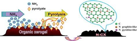Schematic Illustration Of Nitrogen Doping Process During Pyrolysis Of
