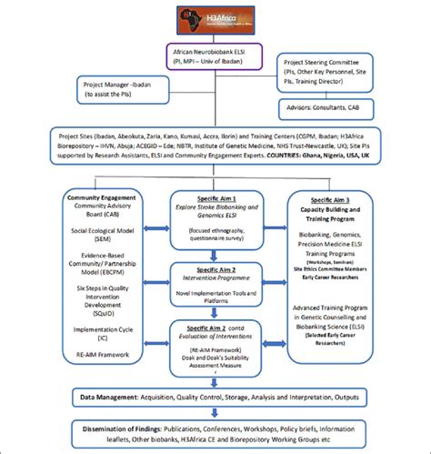 Organizational Plan For The African Neurobiobank For Precision Stroke