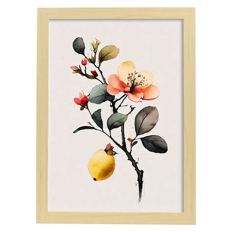 Nacnic Coing Affiche Dans Le Style Aquarelle Fruits Illustration Fond