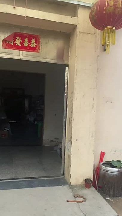 Hantar Stok Pantas Baju Dalam Erotik Baru Comel Dan Suka Bermain