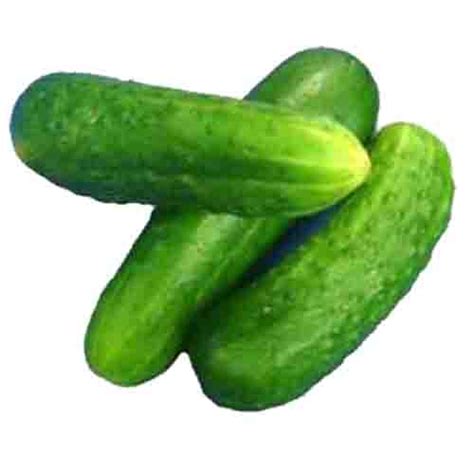 Cucumber Kakudi 1 Kg Moaahar Order Prasad Temple Food Online