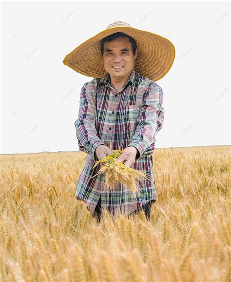 밀밭에서 밀을 들고 농부 밀짚 모자 그 남자 농민 Png 일러스트 및 이미지 에 대한 무료 다운로드 Pngtree