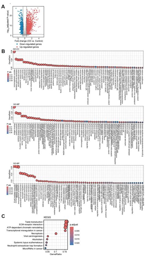 Impact Of Hypercoagulable State On Crohns Disease Severity And