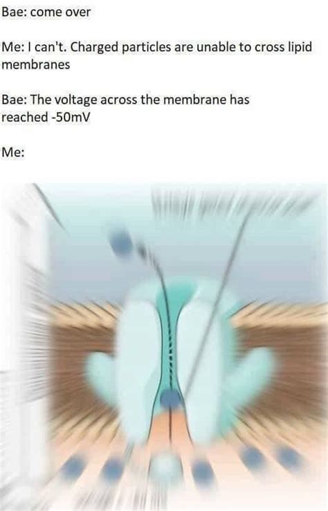 Bioengineered Memes For Genetically Recombinant Teens