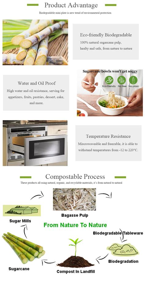 Biodegradable Pulp Sugarcane Fiber Pulp Bagasse Salad Bowl Sugarcane Bagasse Bowl With Lid Buy