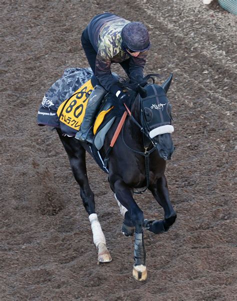 【阪神カップ】ナムラクレアはフィジカル重視の調整で好気配 長谷川調教師「本当にいい状態で出せる」 Umatoku 馬トク