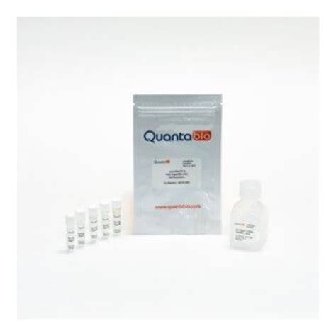 Quantabio Conventional Pcr
