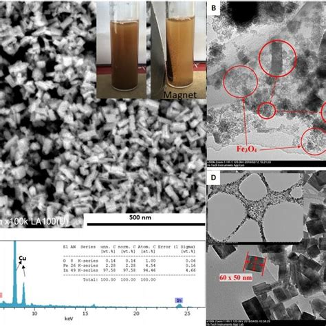 A Sei Image Of Fe3o4 In Oh 3 Obtained In A Fesem Shows Rod Shape Download Scientific Diagram
