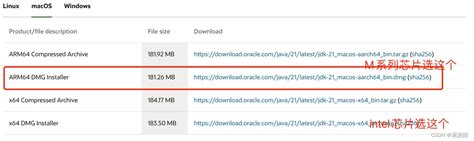 macos中配置java开发环境的详细步骤 java mac csdn博客