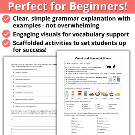 Low Beginner ESL Grammar Worksheets For Adult ESL Count Noncount Nouns