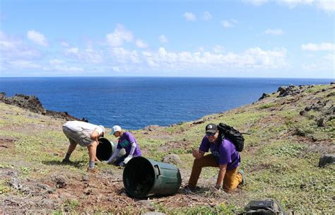 ‘ohana By Hawaiian Anniversary Part 2 Of 2 Team Kōkua Helps Restore
