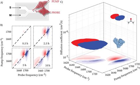Infrared Diffusion‐ordered Spectroscopy Reveals Molecular Size And