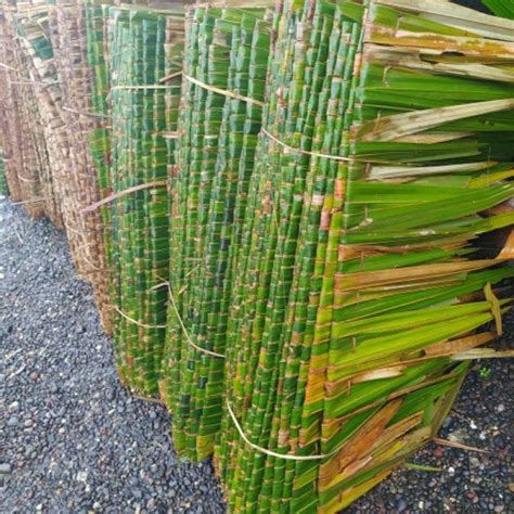 Jual Atap Daun Rumbia Atap Gazebo Atap Dahon Shopee Indonesia