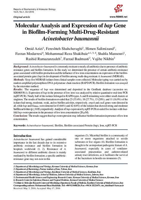 Pdf Molecular Analysis And Expression Of Bap Gene In Biofilm Forming
