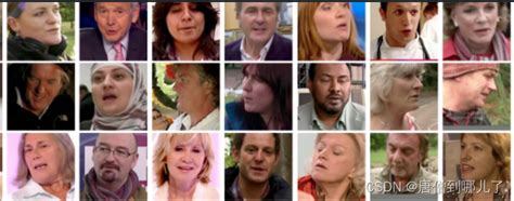 Lrs2数据集处理 Csdn博客