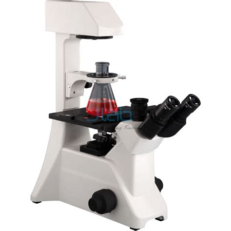 Inverted Microscope India Manufacturers Suppliers And Exporters In India