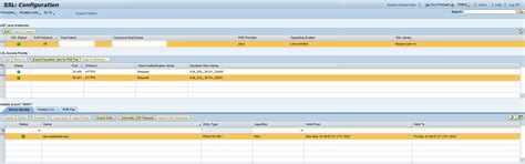 Solution Manager Configuration Ssl Handshake Fai Sap Community