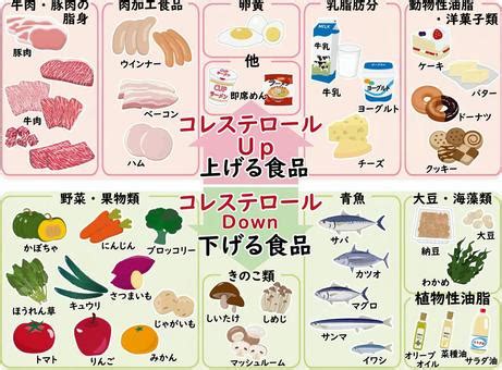善玉コレステロールイラスト無料イラストフリー素材ならイラストAC