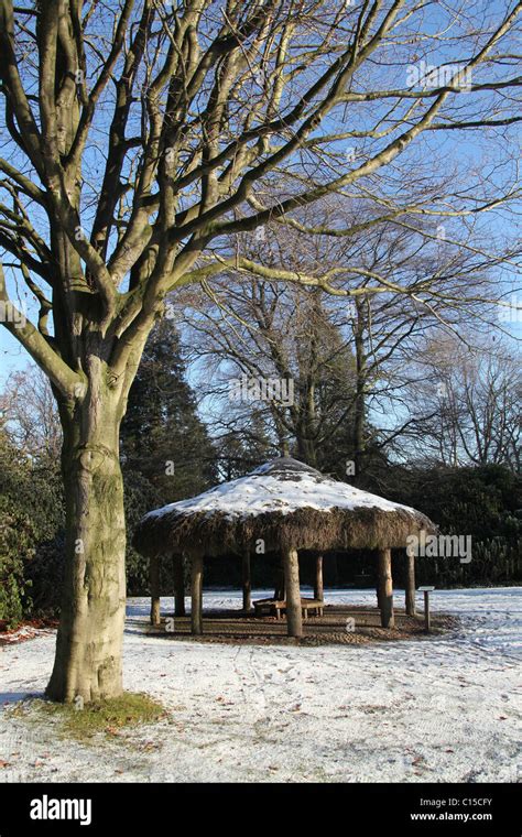 Estate Of Tatton Park England Picturesque Winter View Tatton Park