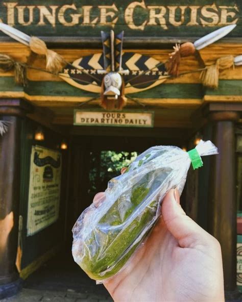 Disneyland Pickles Where Can You Get Your Hands On Them That Disney Fam