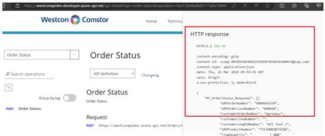 API Consumption Microsoft Azure API Management Developer Portal