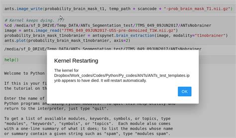 jupyter kernel keeps dying in the middle of process · issue 229