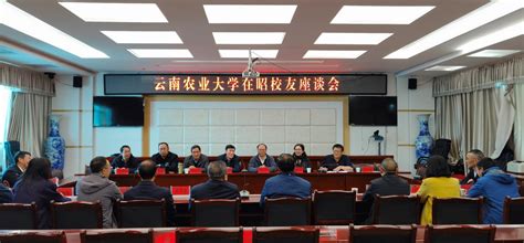 学校昭通校友座谈会召开 云南农业大学 新闻网