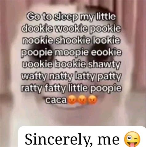Go To Sleep Pookie Wookie 😍😉🥰 Wookie Funny Sarcastic Quotes Funny