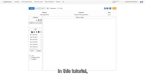 How Cell Nuclei Segmentation Can Benefit Medical Research